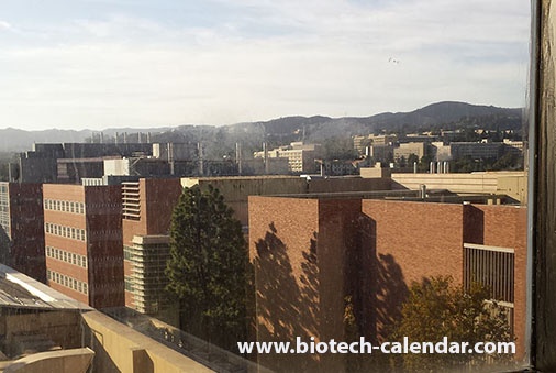 UCLA - Photo Gallery