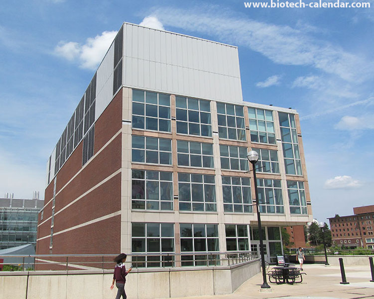 University of Michigan: Photo Gallery