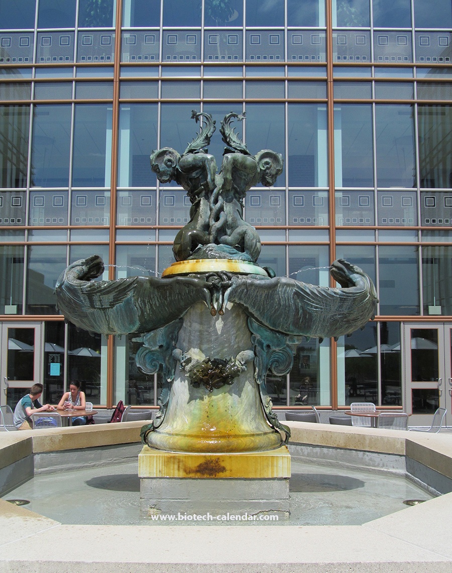 University of Minnesota: Photo Gallery